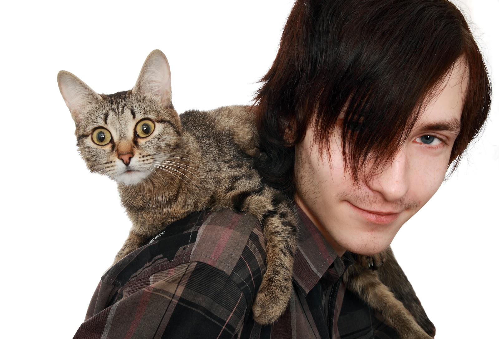 A Tonk's Tail... err, Tale...: Are Millennials Changing Our ...