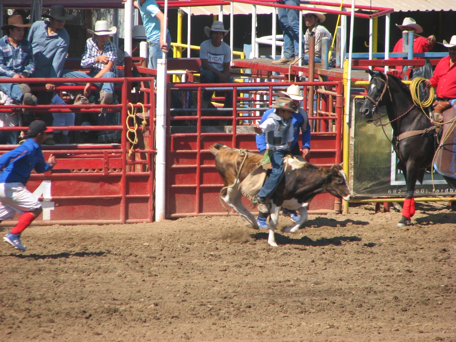 rodeoshow: .espectaculo en el rodeo.