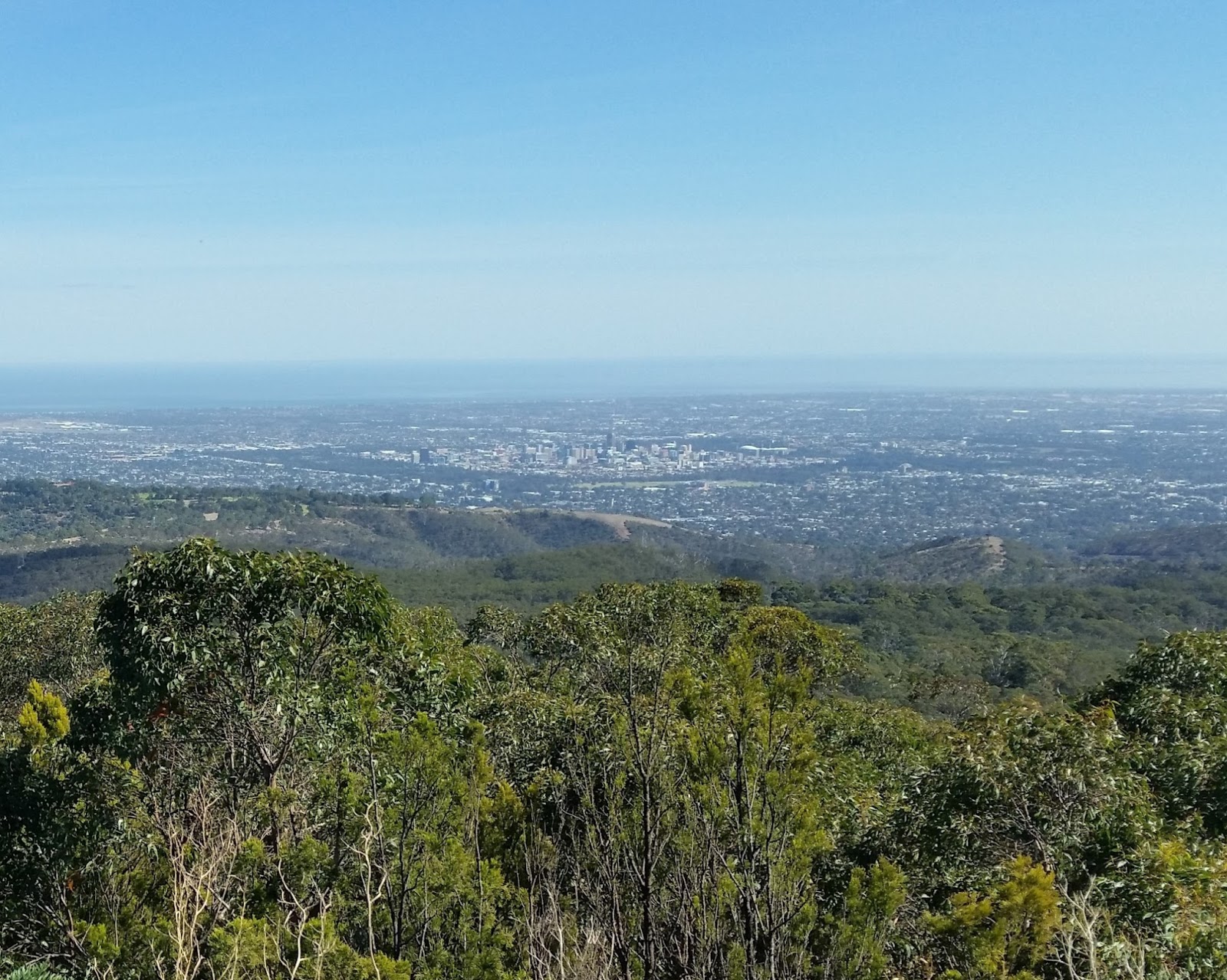 Lupey Loops: A busy time