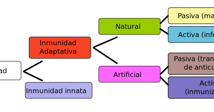 B&G 3ºESO: Tipos de inmunidad