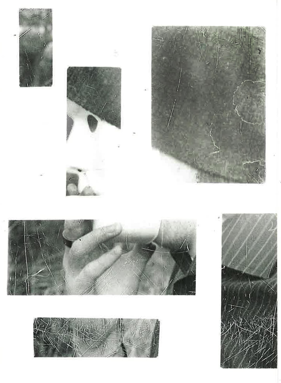 Lauren Carr: Dark Room Experiments.