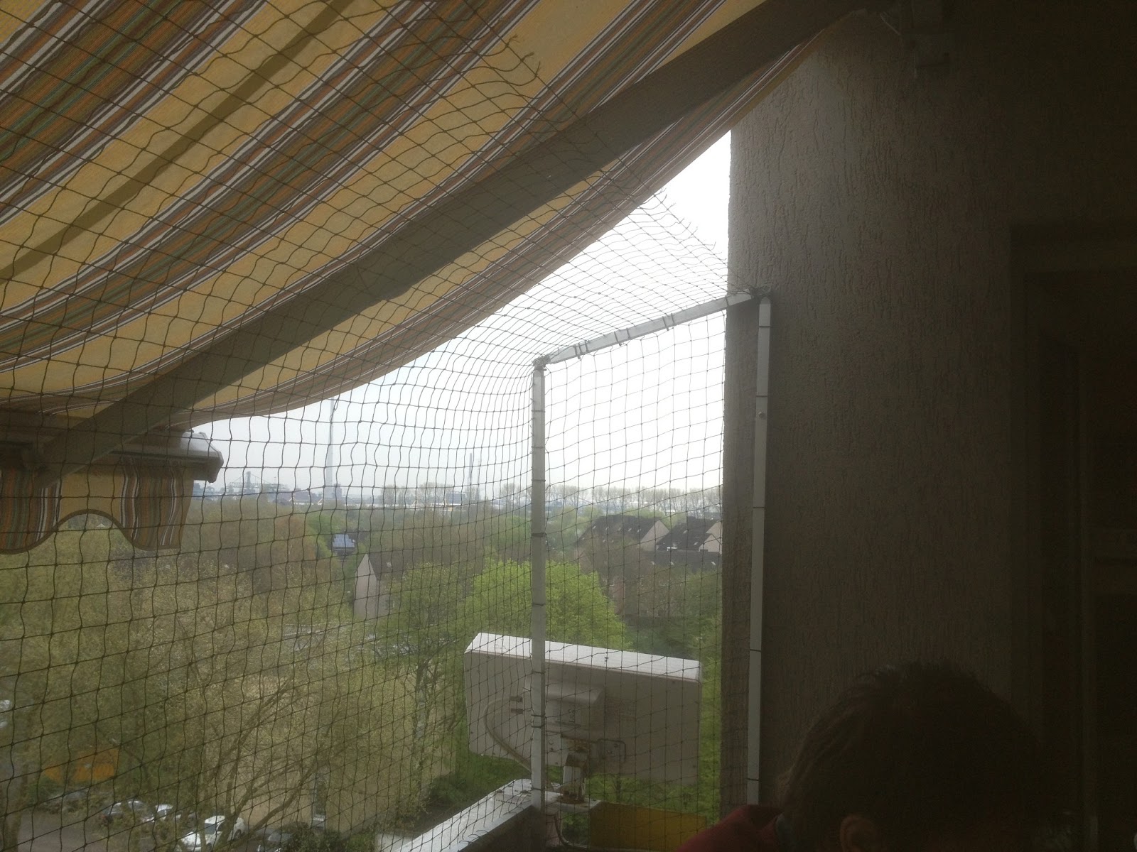 Katzennetz Experte - Katzennetze vom Profi aus NRW: Markise und ...