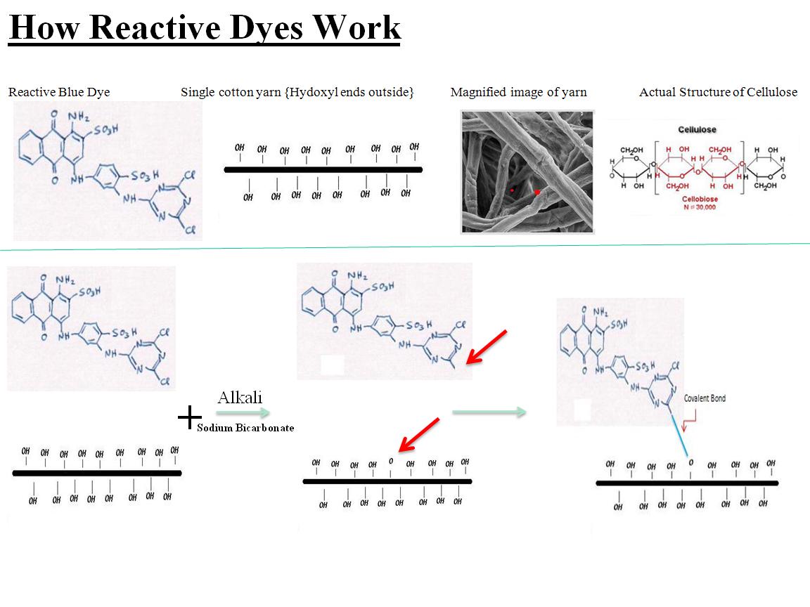 Textile Chemistry: How reactive dye works?