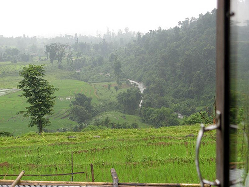 "DOOARS" scenic beauty yet to be unveiled: Malbazar