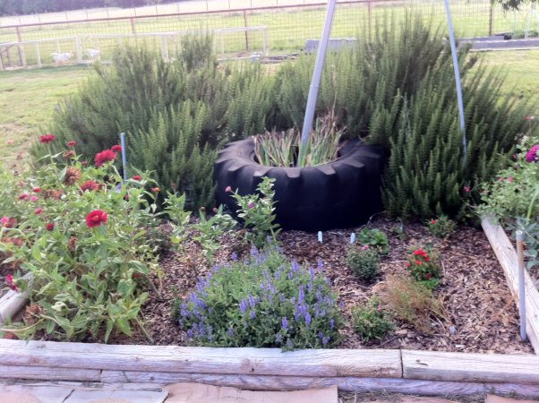 Earthly Gardener: Pollinator Gardens--A Guest Post by Debbie Burns