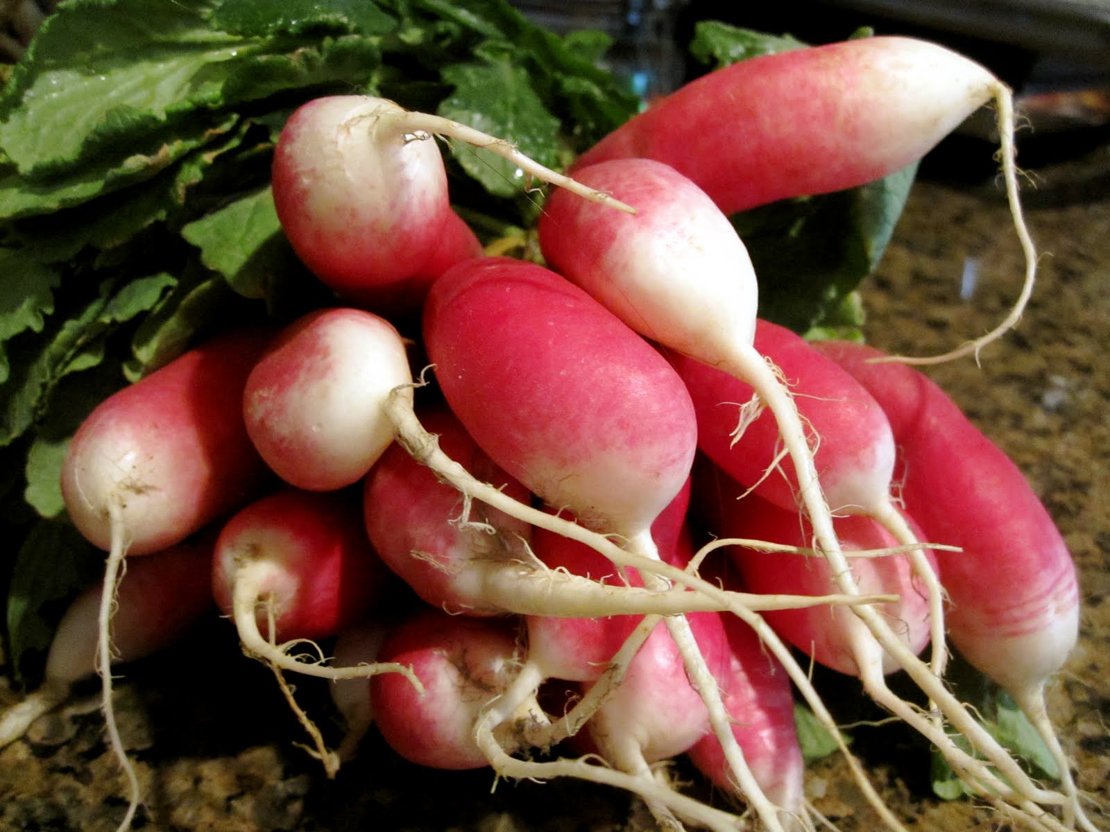 Cherry Street Farmers' Market ~ Inside My Present