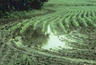 Pengertian Jenis Sistem Drainase Lahan Pertanian - Panduan Pelajaran