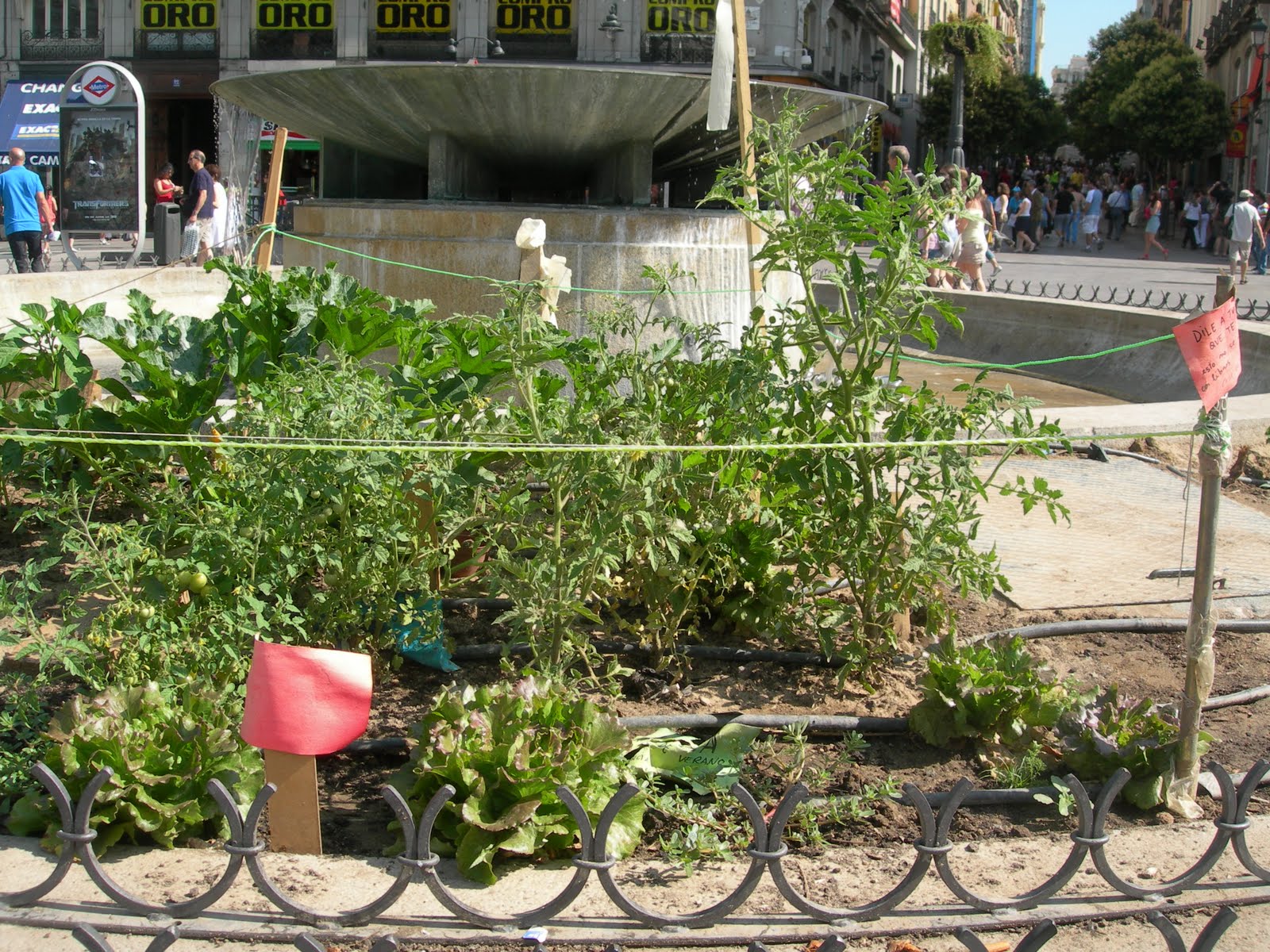 Polystyrene Garden Junkie: 2011