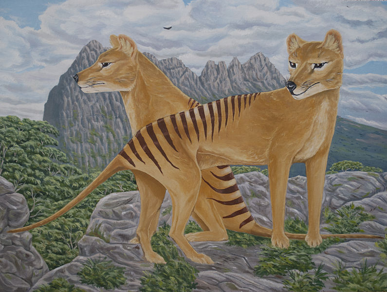 Thylacines - Back to Life?