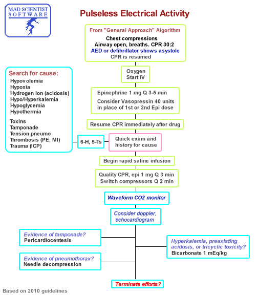 Algoritma ACLS, Advance Cardiac Life Support Algorithm Medical Articles