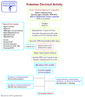 Algoritma ACLS, Advance Cardiac Life Support Algorithm Medical Articles