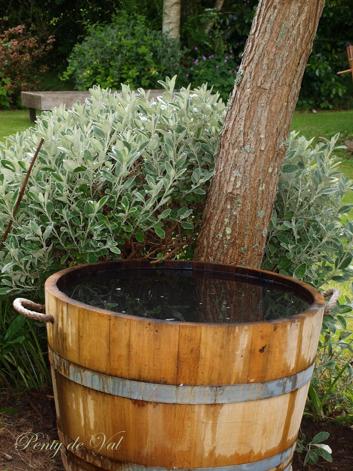 Penty de Val: Un mini bassin tonneau dans le jardin...