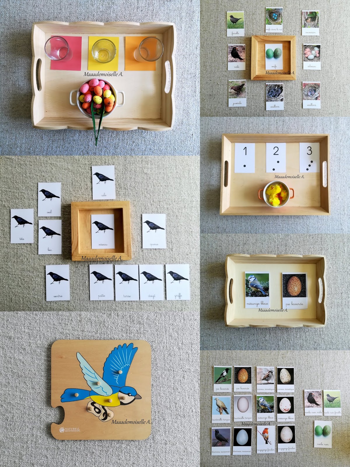 Maaademoiselle A.: || Nos activités sur les oiseaux