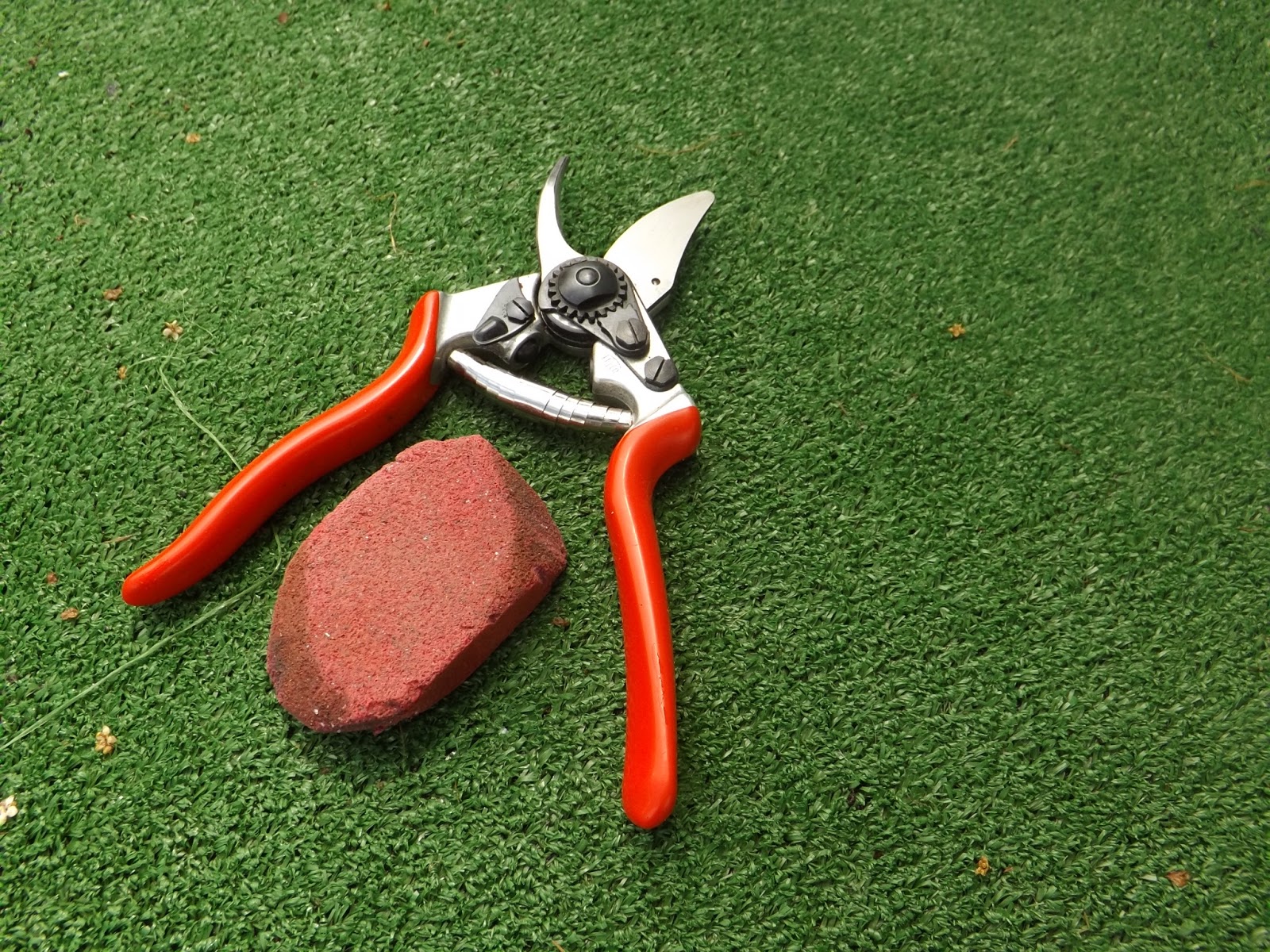 The pruning expert: Cleaning your secateurs