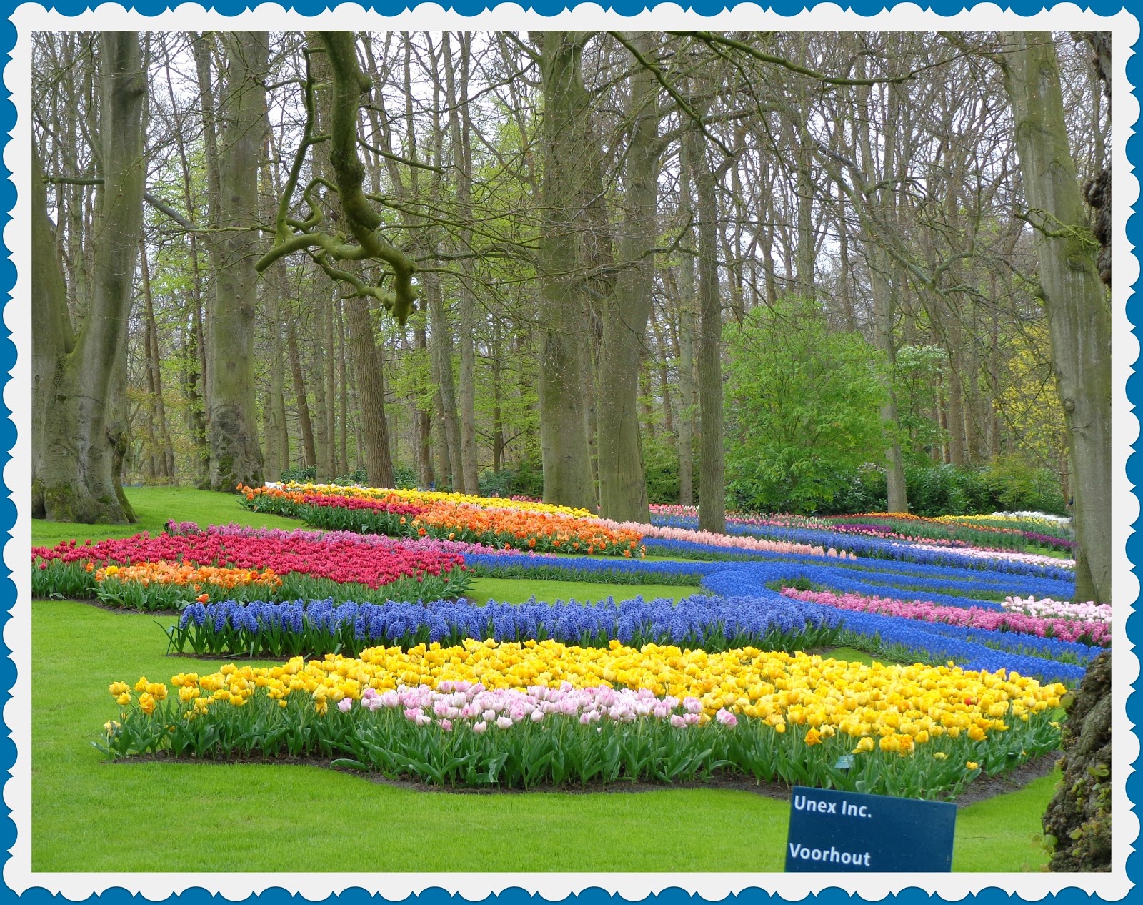 timeless reflections: The Netherlands