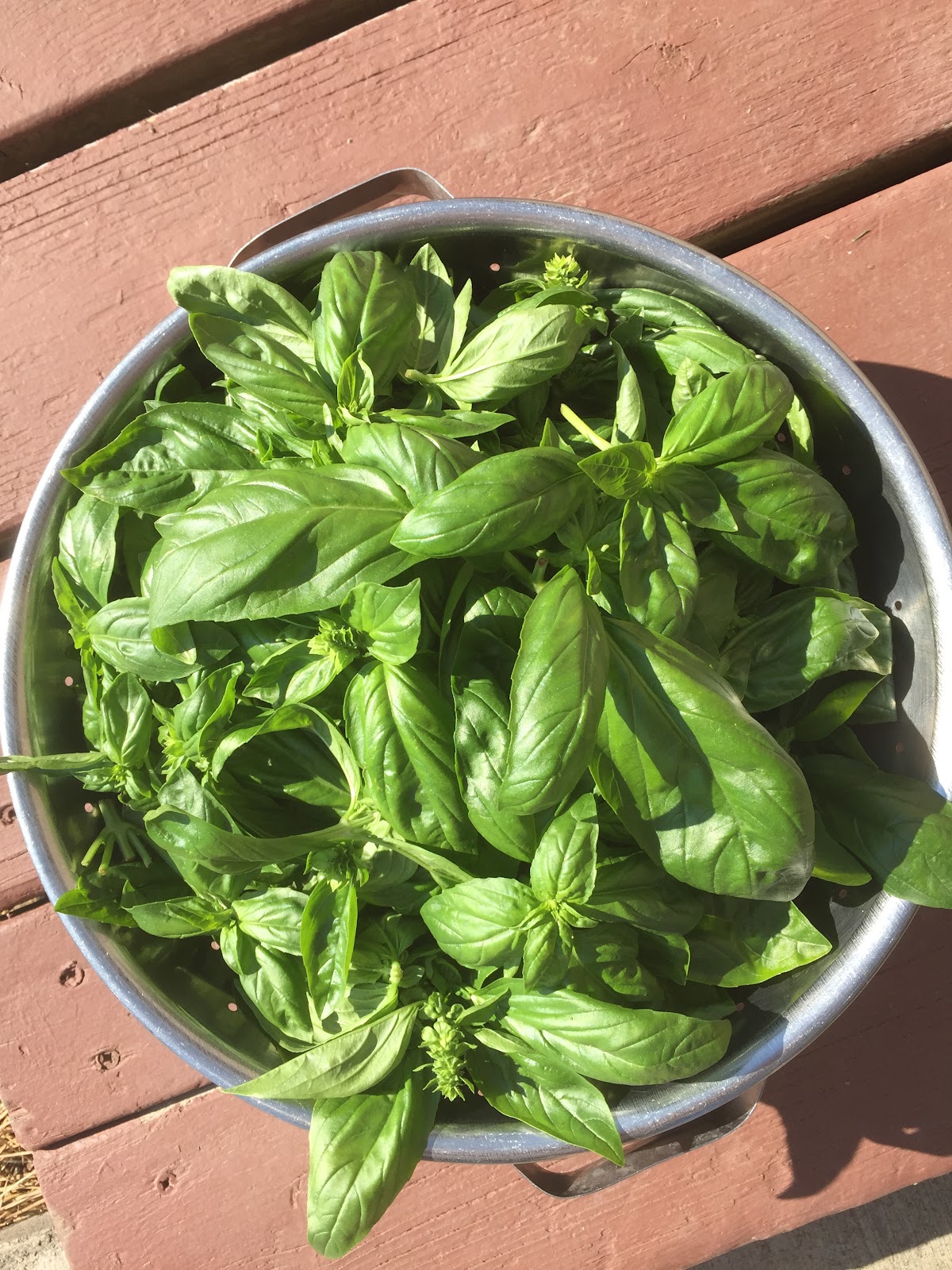 Jeff Reynolds One desire: Abiding in Jesus. Pruning and the Gardening ...