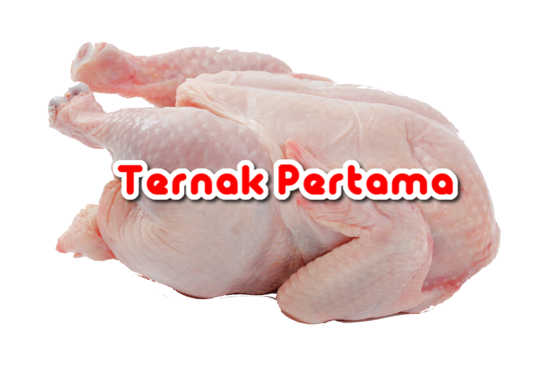 Harga Ayam Potong Hari Ini Juni 2021 Harga Ayam Potong Hari Ini Juni 2021