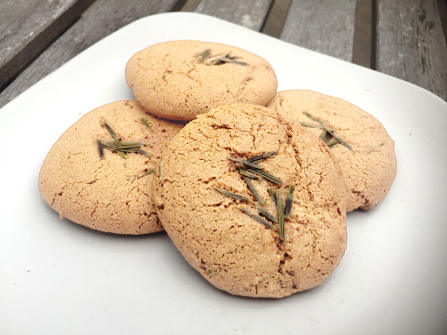 The Foraged Foodie: Honeyed spruce (or pine) needle cookies. Yes, you ...