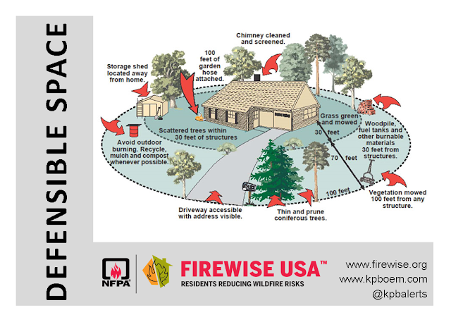 KPB Joint Information Center: Creating defensible space is a year round ...