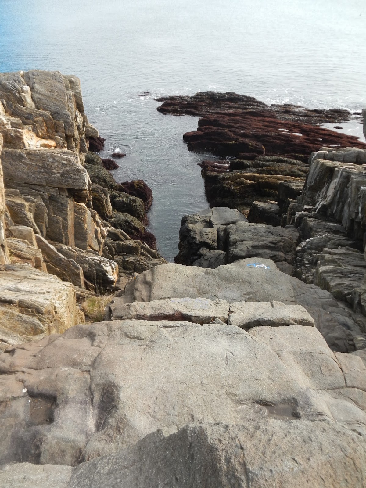 An Ocean Lover in Maine: Another Cliff Walk -- Giant Steps