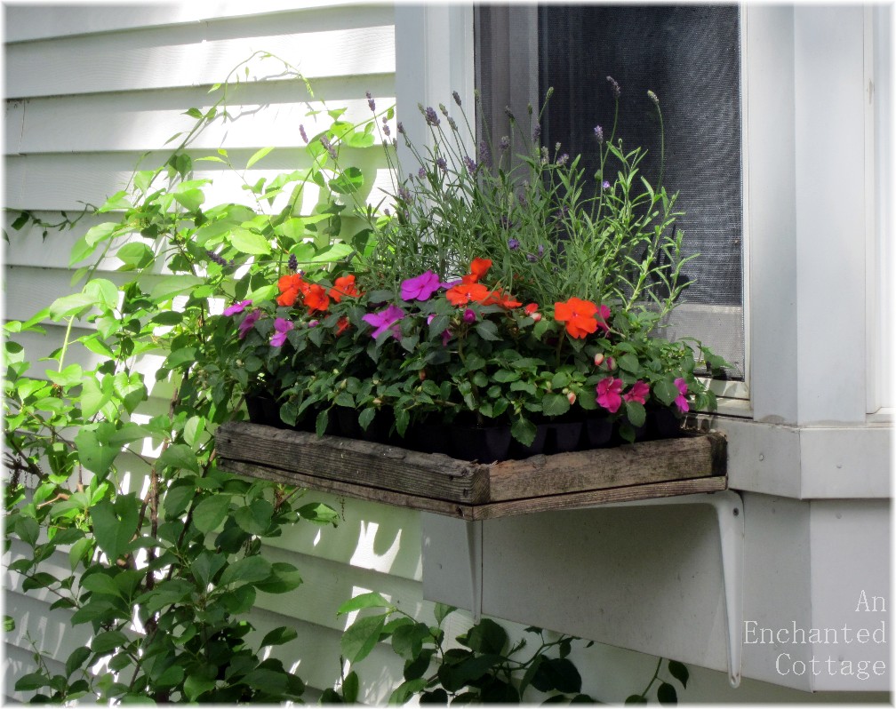An Enchanted Cottage: Easy Peasy Flower Box