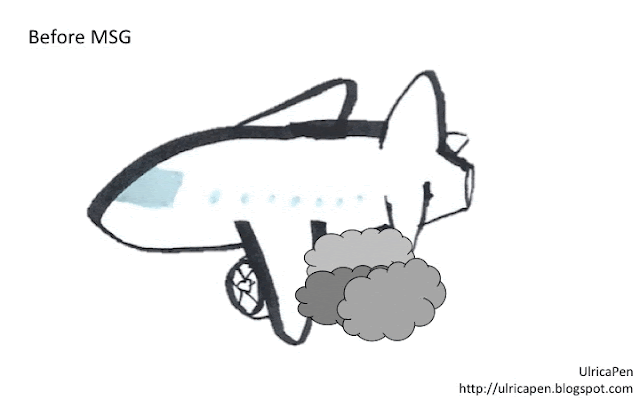 Ulrica Pen in Aviation: Aircraft Maintenance - What is MSG?