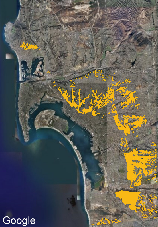 Radio Acres Farm: Fossils!