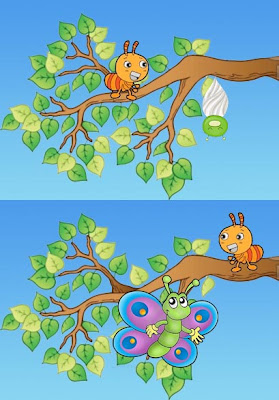 Untuk Anakku: Kisah Semut dan Kepompong