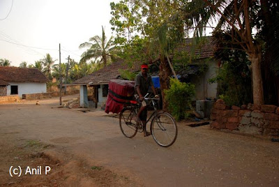 Windy Skies: A Goan Landscape in Salcette