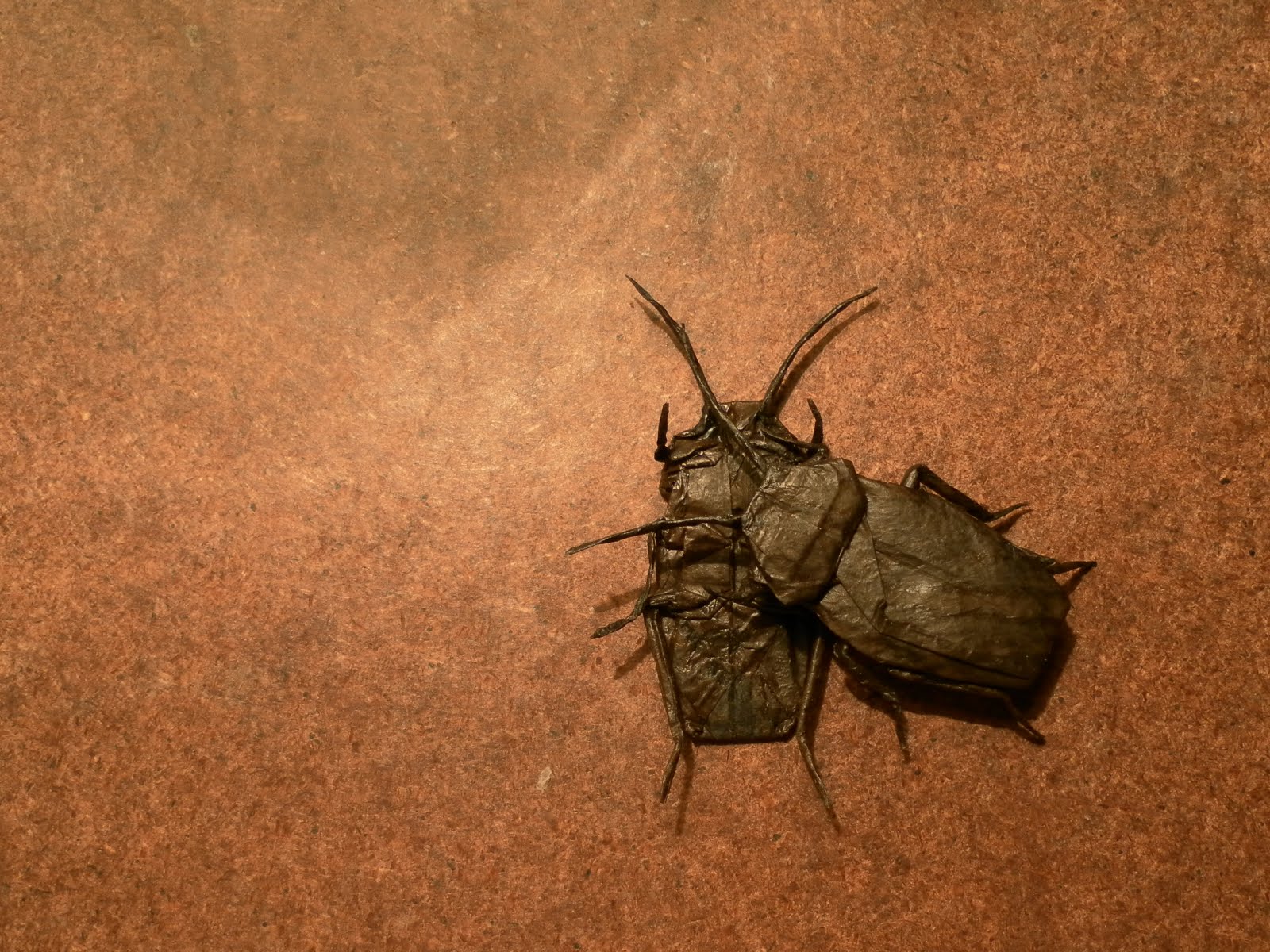 Mariano-Mi mundo el Origami: Cockroach (Cucaracha)