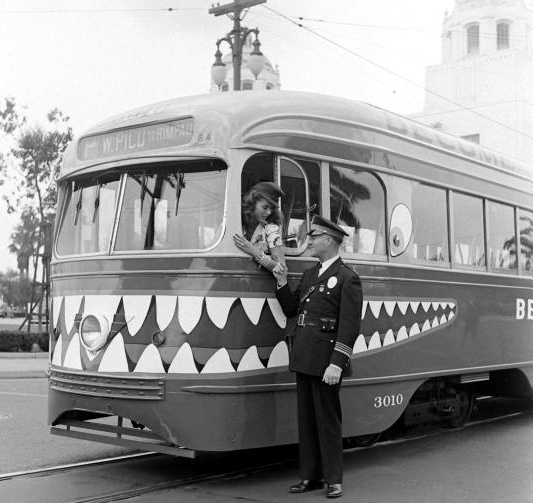 Just A Car Guy: The Flying tigers motif on a street car.... this has to ...