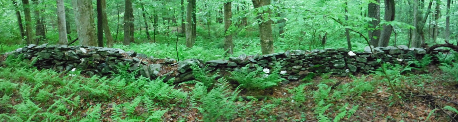Rock Piles Stone Mounds Morrislitchfield Ct