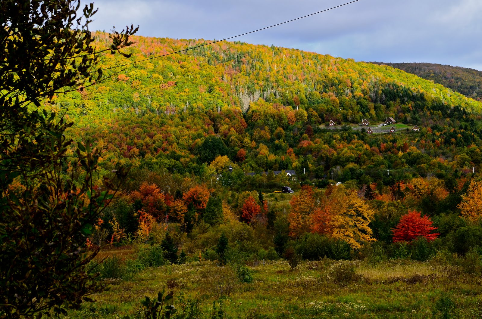 Viva la Voyage: Magnificent Fall Colors in Cape Breton