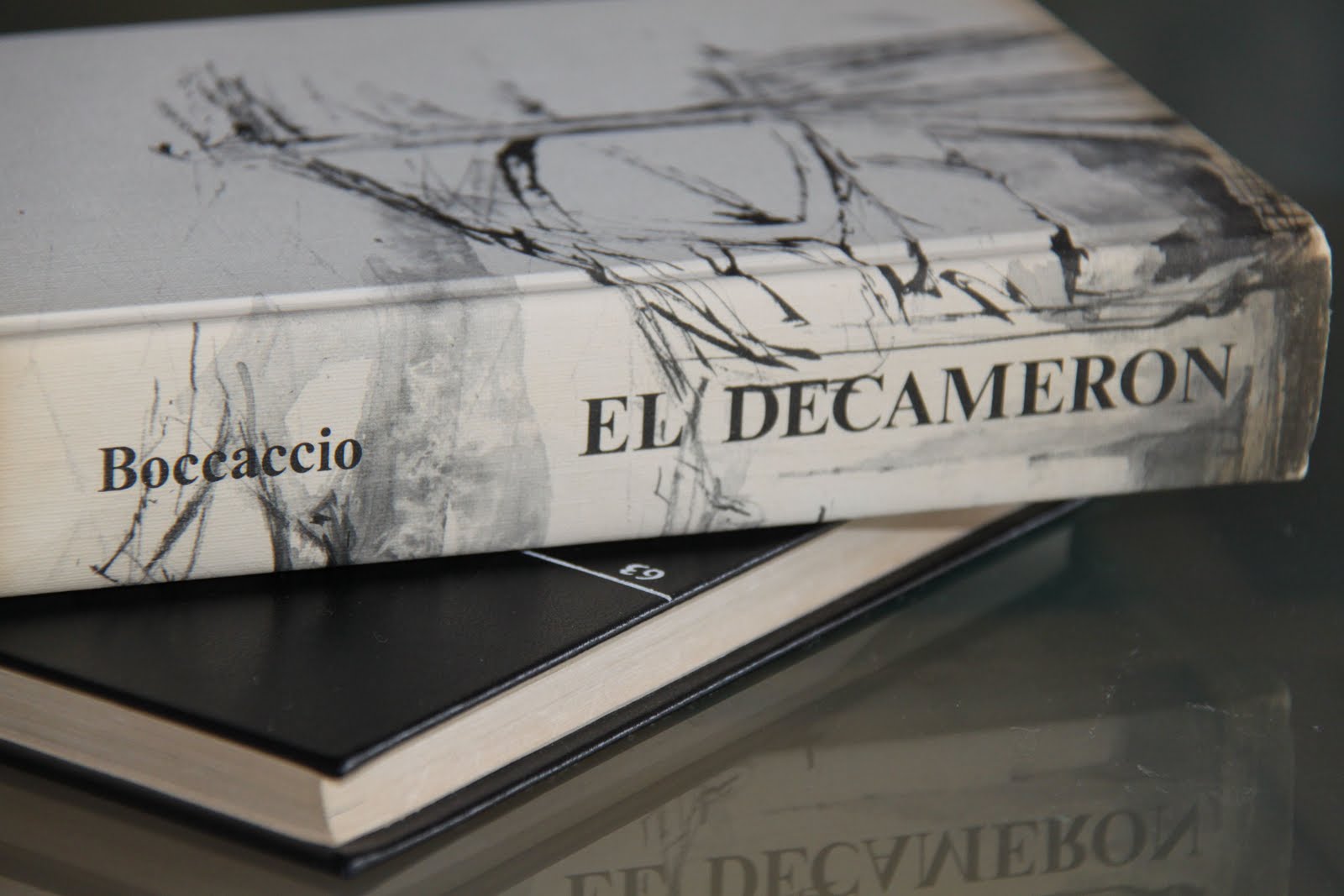 Rincón del Escritor: Vendo Libro El Decamerón