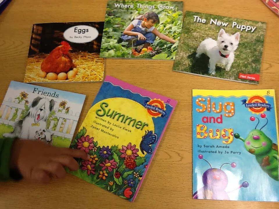 Knowledgeable about Non Fiction! - Learning to the Core