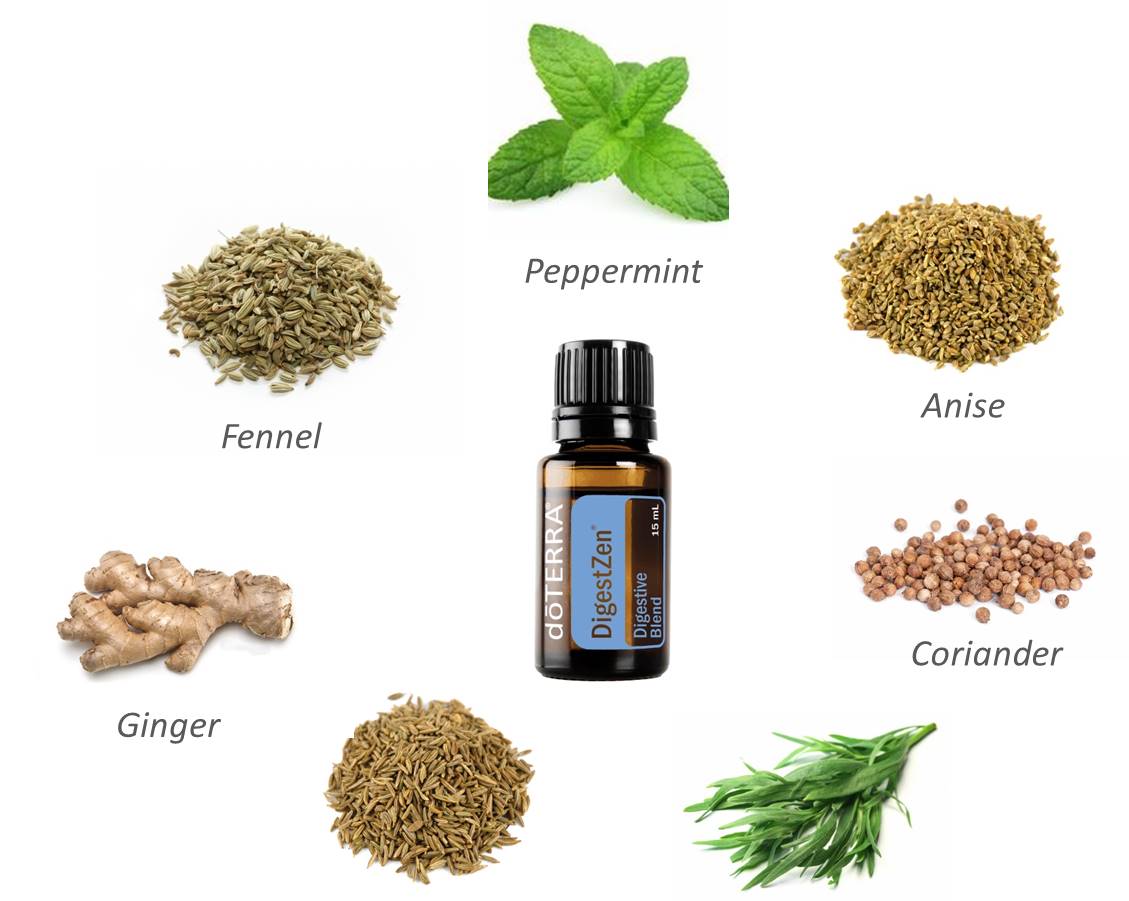 Essential Devotion: "Back to Basics" - Top Ten Oil Blends - DigestZen