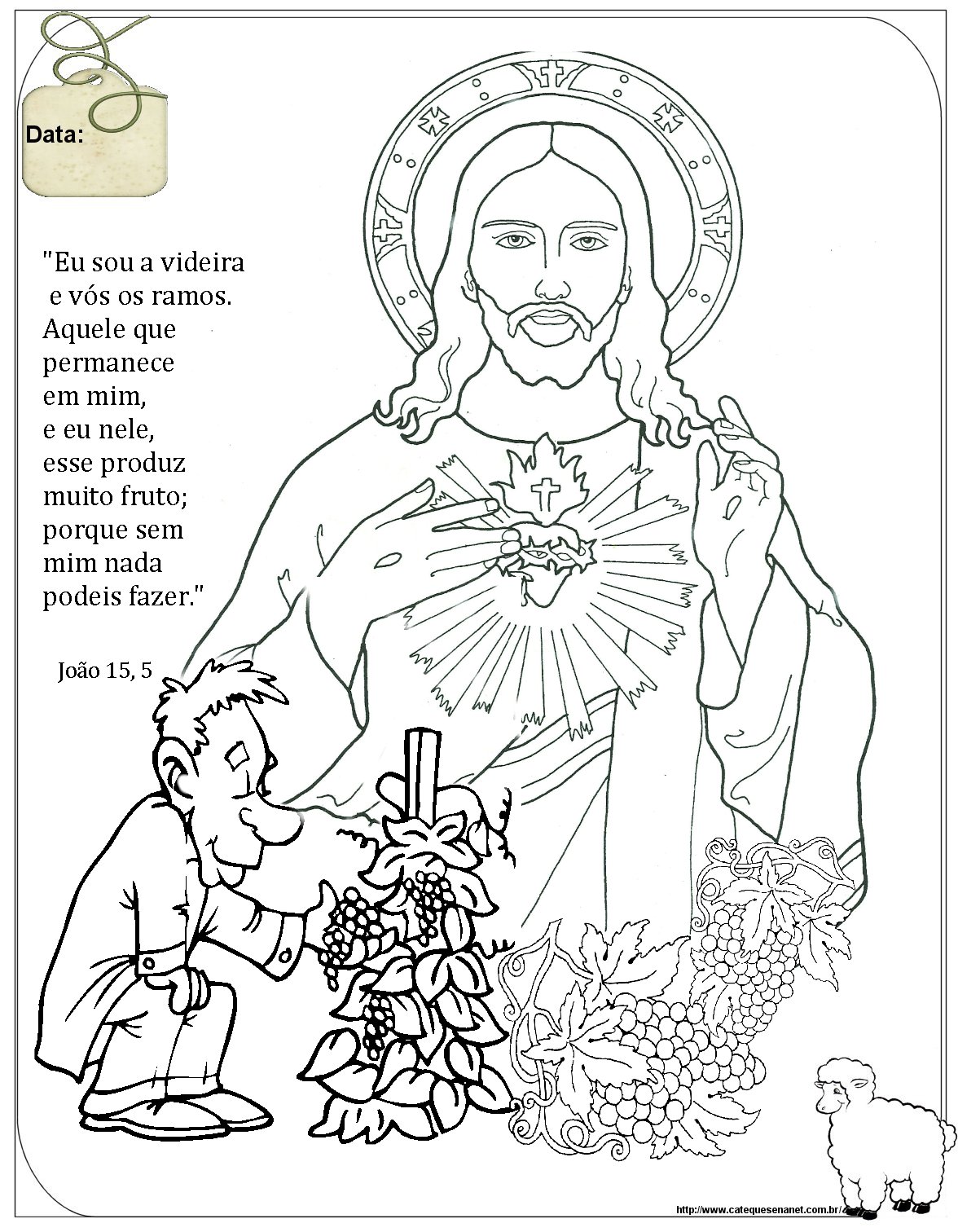 Catequese na Net: 5 º Domingo da Páscoa - Jesus é a videira