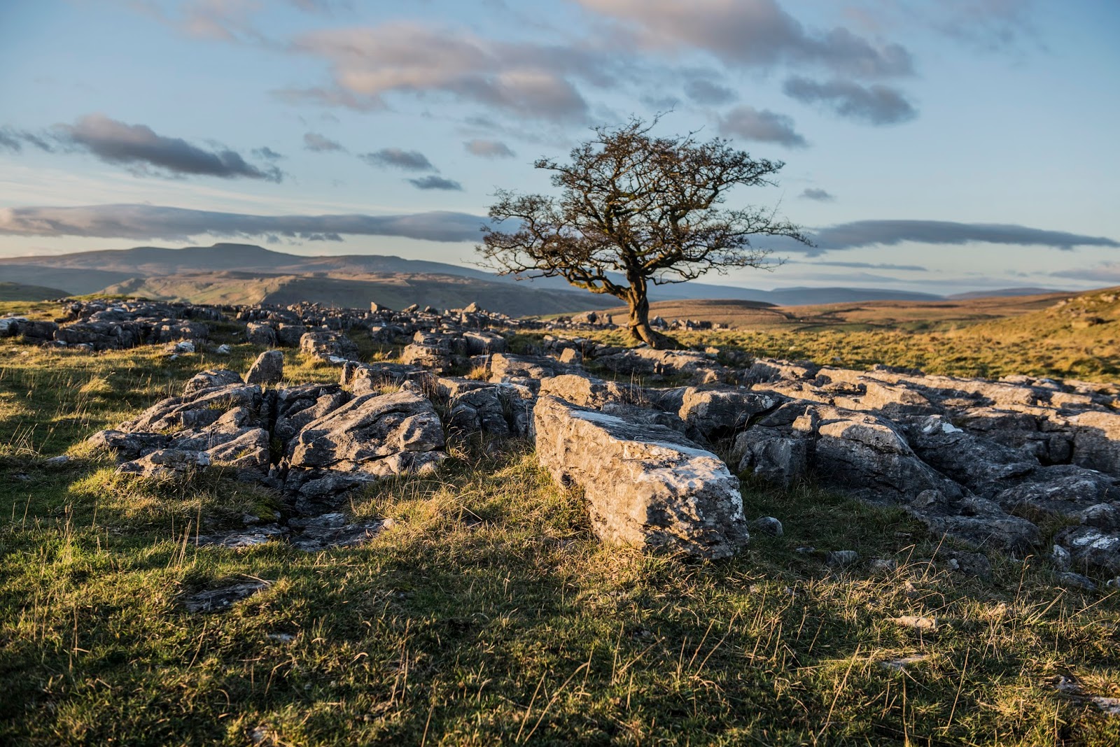 Wigtwizzle - Norman Smith's Travel Blog.: Winskill Stones