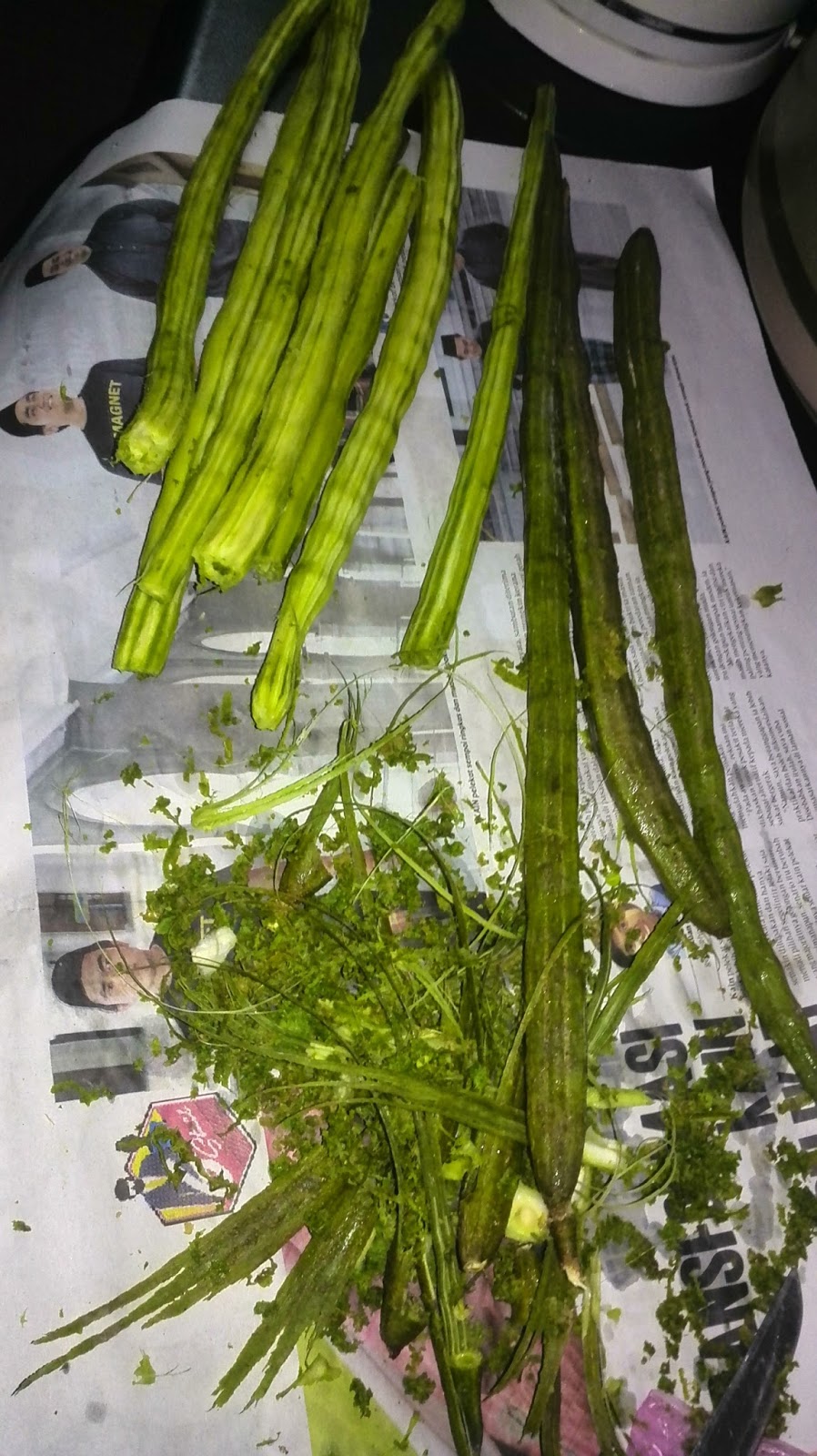 namakucella: KARI BUAH MUNGGAI a.k.a KACANG KELOR