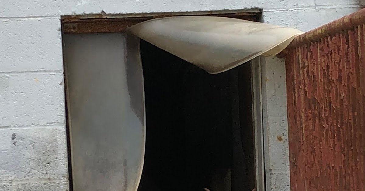 Powisset Farm CSA: Reemay for Days