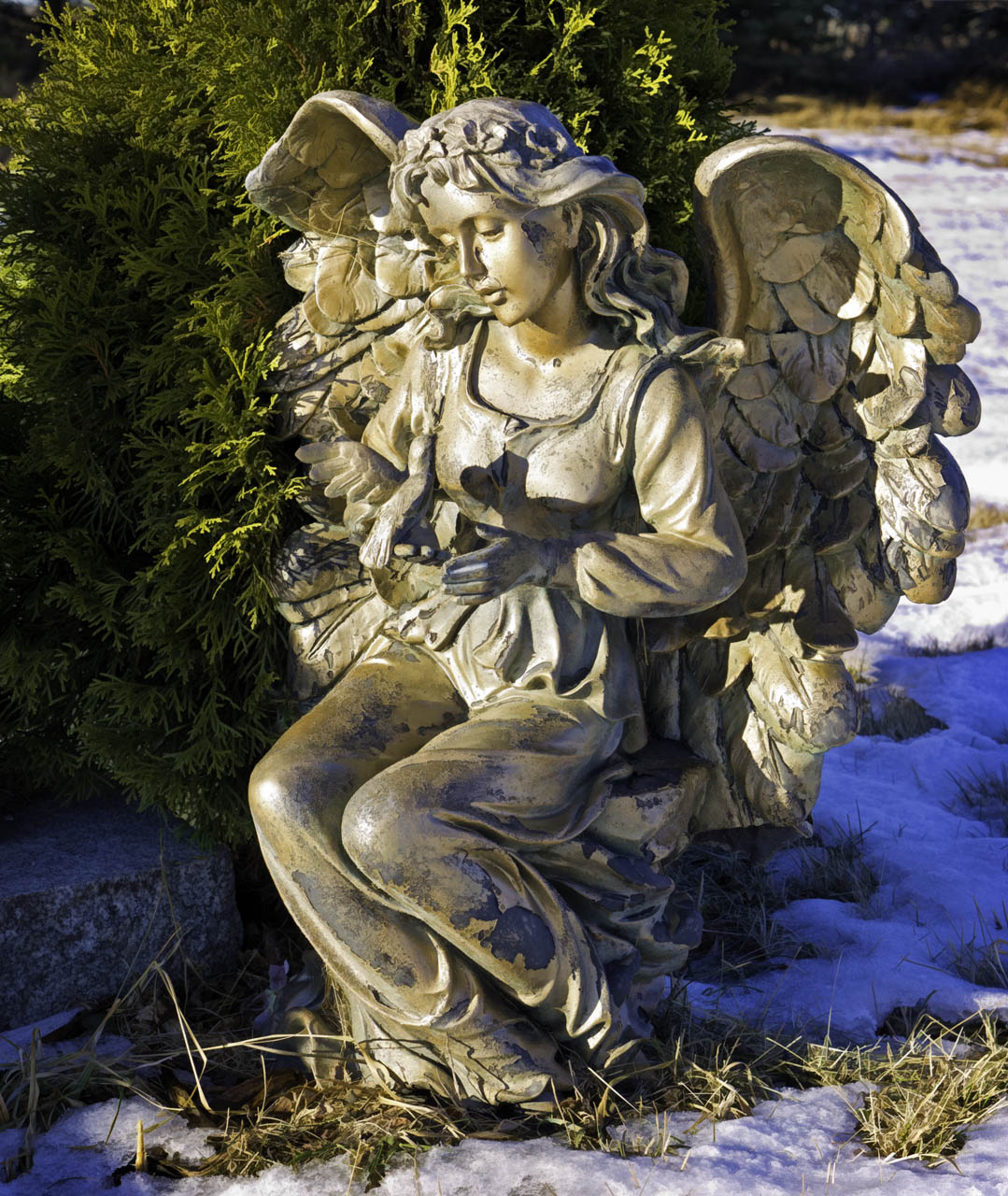 Jim Cox Photos: Angel With Bird at St Michael the Archangel Roman ...