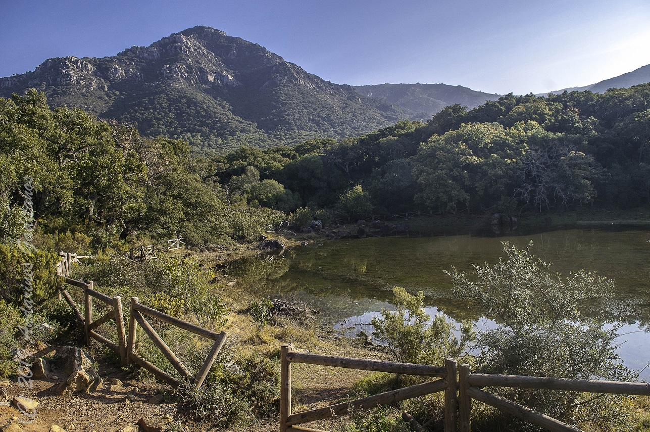 .: SUBIDA AL PICACHO (ALCALÁ DE LOS GAZULES) (18 ENE 2019)