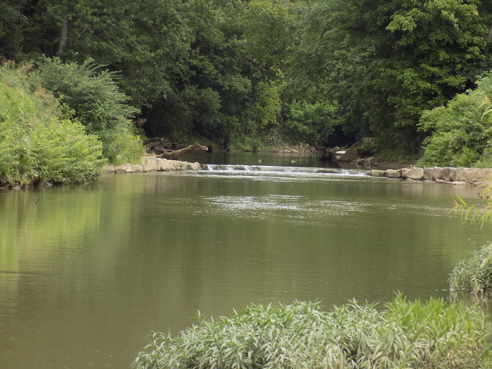 Paddle Tennessee: Harpeth River - Eastern Flank Access Point
