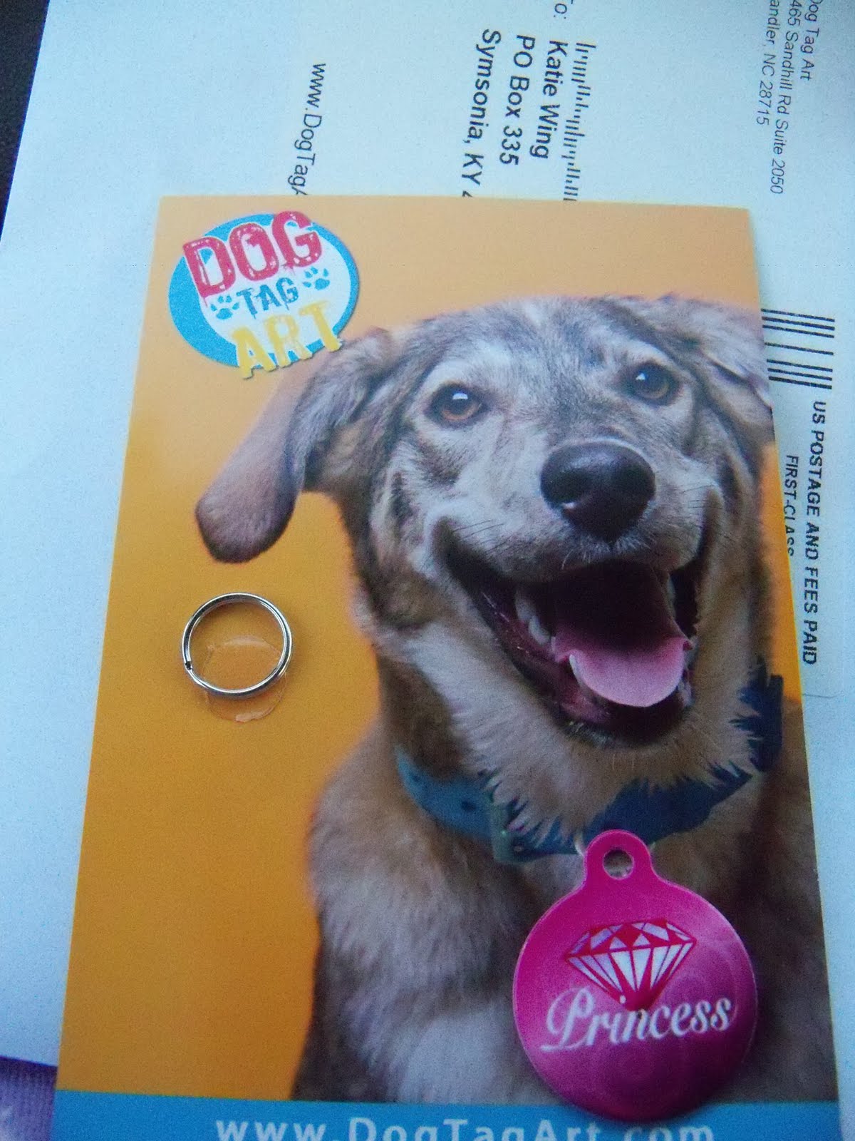 Dog Eared: Tags, Tags, Tags!