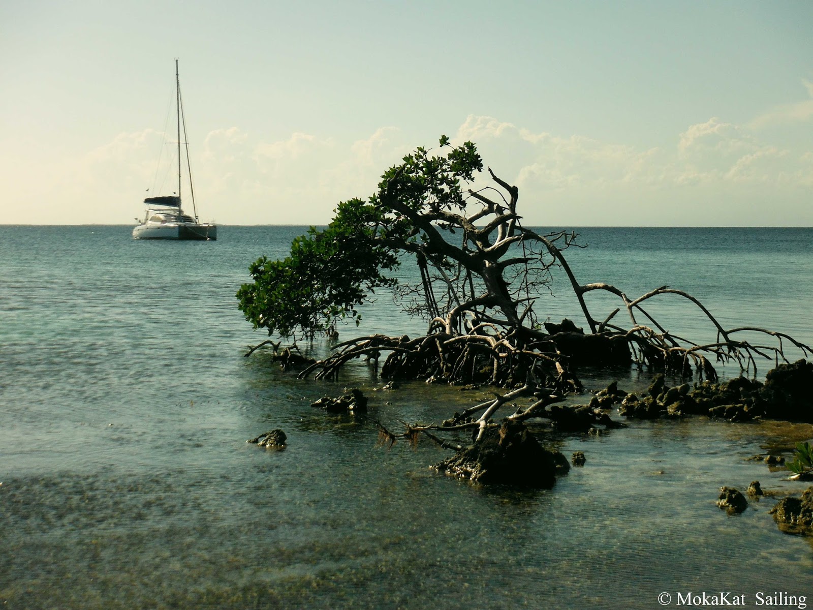 MokaKat Sailing: Nick and Silke's Visit - Part 2 Cary Cay, Excellent ...