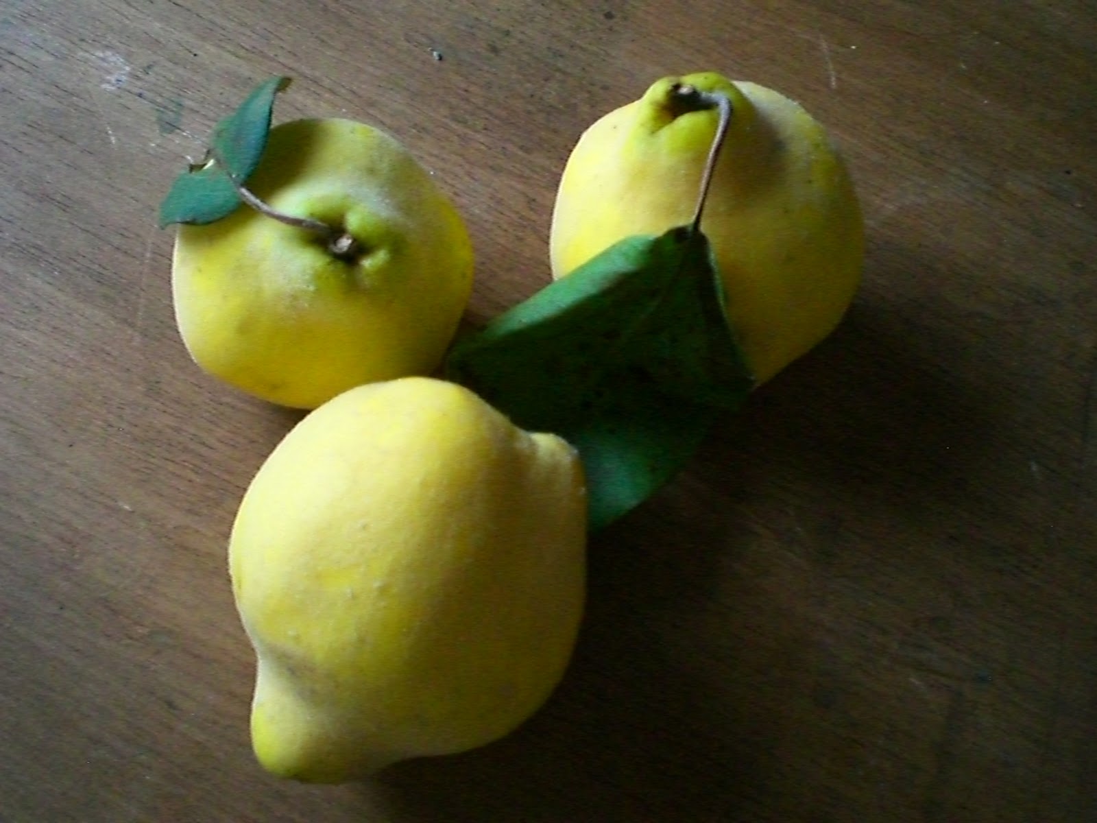 Coing, coing, coing...