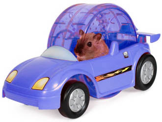 One Thousand Looks: FRIDAY FAVORITES