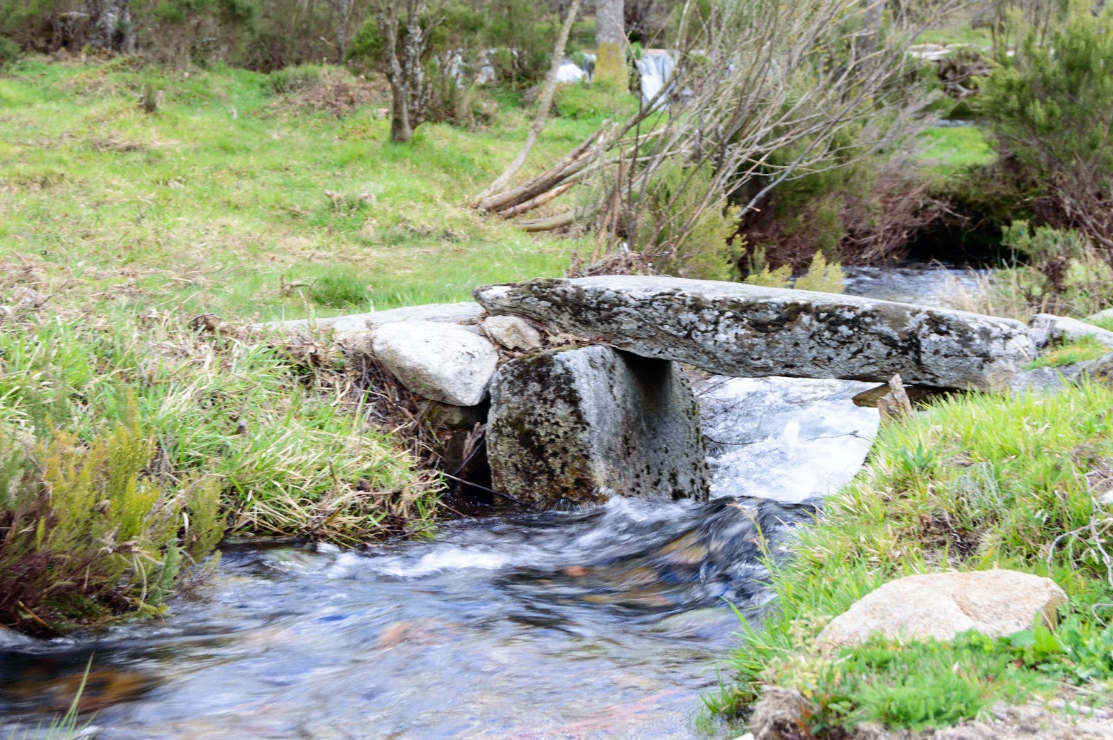 Hiking in Alvão Natural Park - DIY Carlos