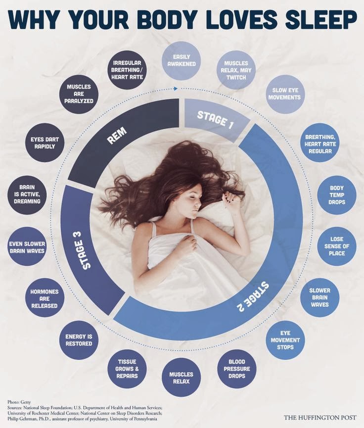 Taste for Healthy: Why Your Body Loves Sleep!