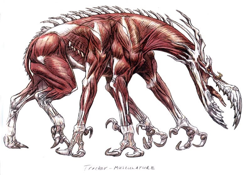 Furahan Biology and Allied Matters: Terryl Whitlatch's Creature Design